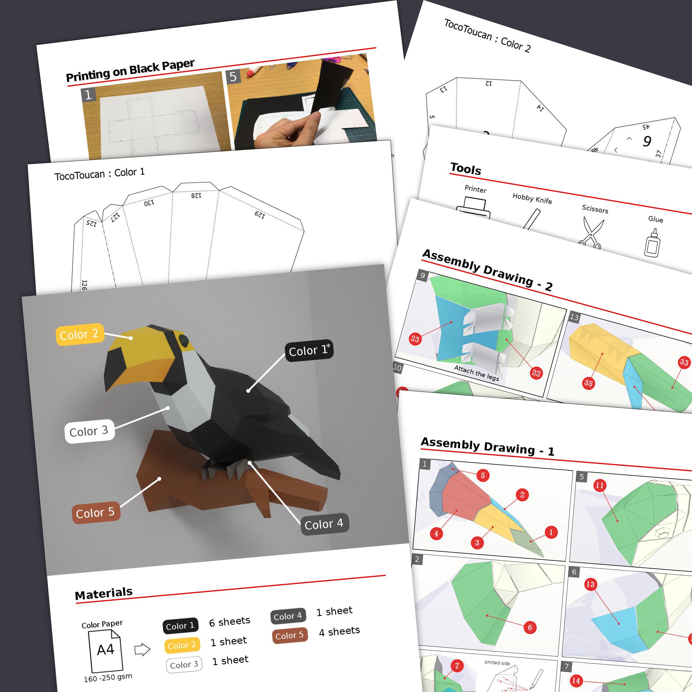 Toco Toucan Papercraftpapercraft Templatebird - Etsy UK