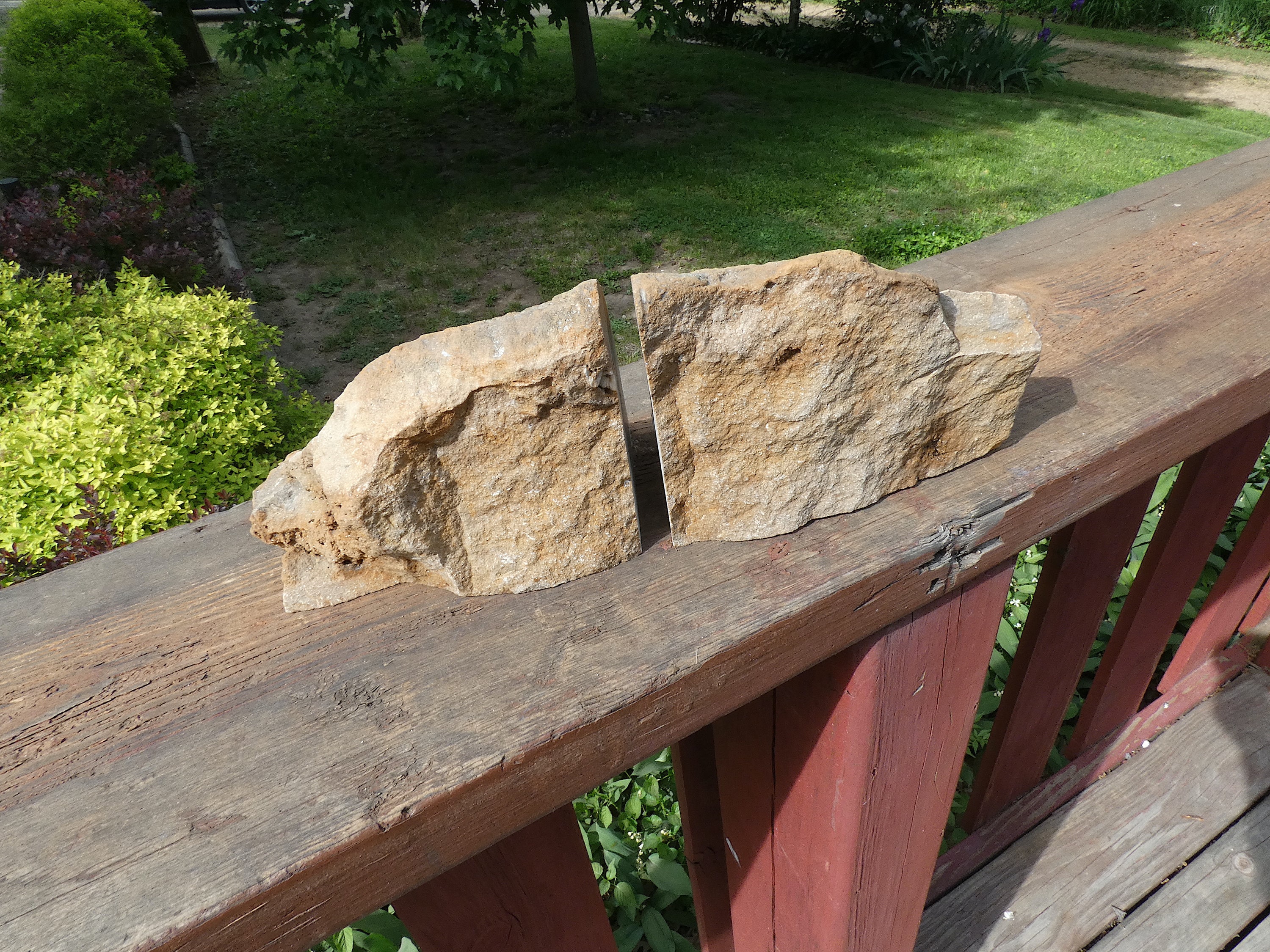 Southwest Wisconsin Galena Limestone Fossil Bookends - Etsy