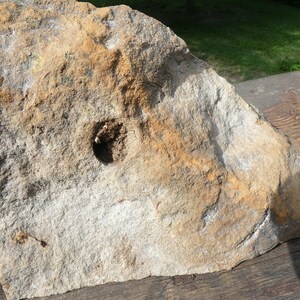 Southwest Wisconsin Galena Limestone Fossil Bookends - Etsy