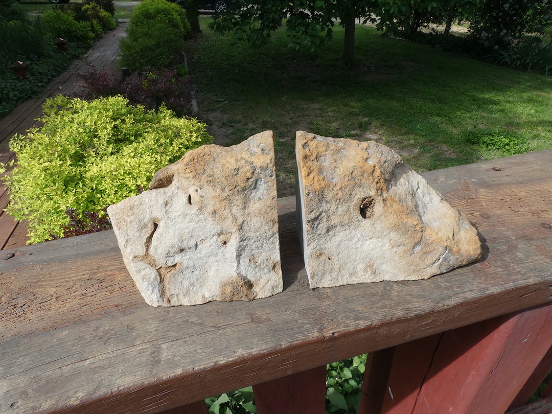 Southwest Wisconsin Galena Limestone Fossil Bookends - Etsy