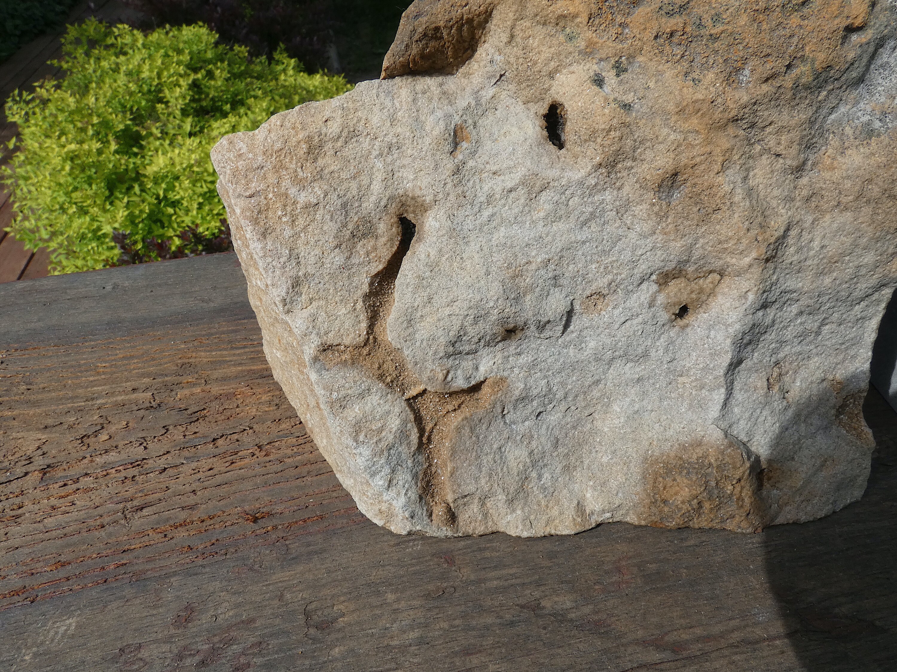 Southwest Wisconsin Galena Limestone Fossil Bookends - Etsy