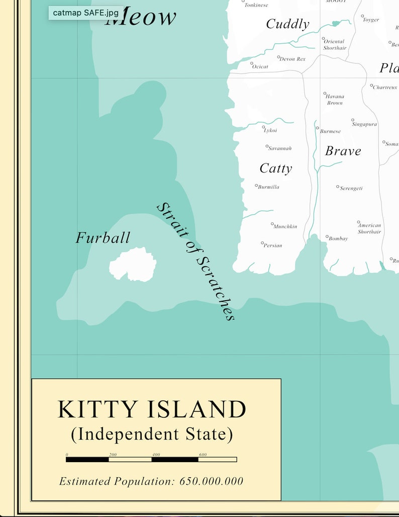 Kitty Island mapa póster/mapa mural - Etsy México