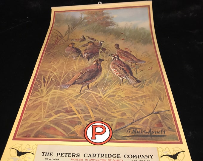 Vintage Peters Cartridge Company Art Calendar Bob White Quail 1982 ...