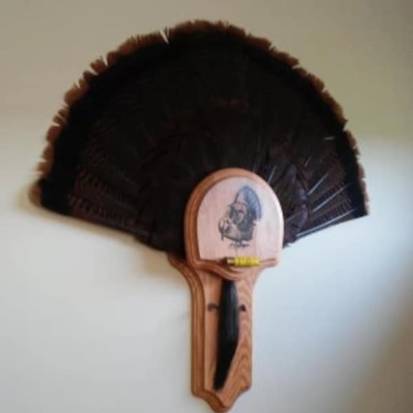 Turkey Fan Mount - Etsy