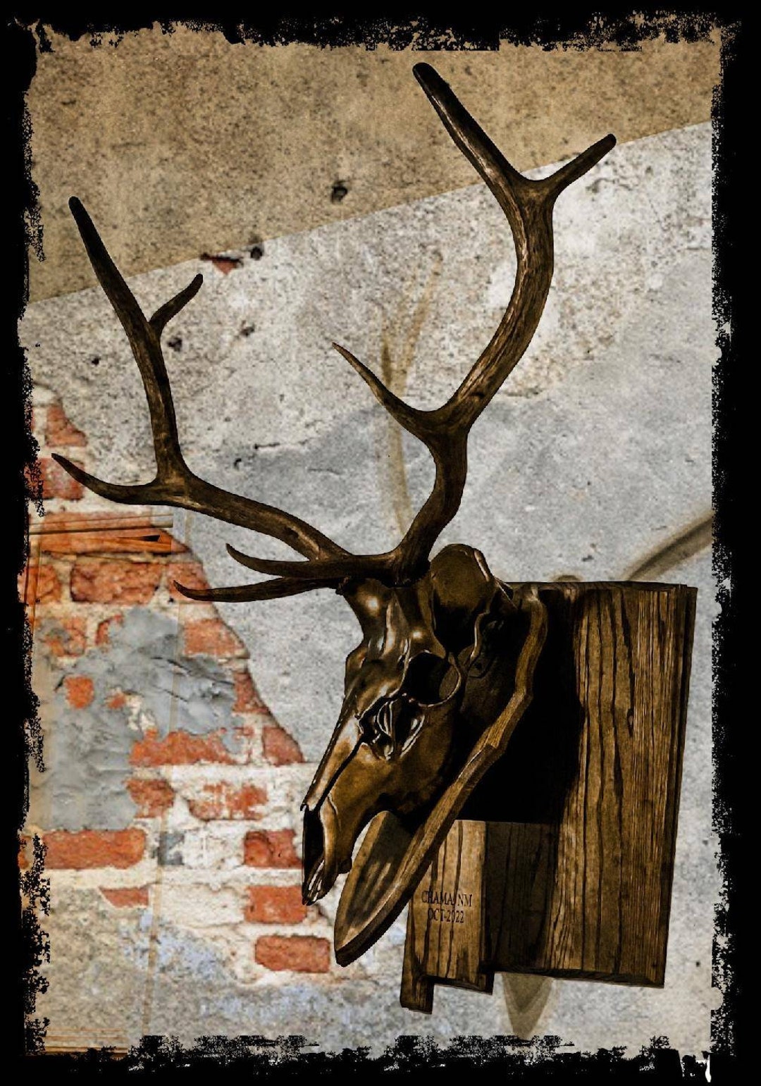 ELK - Pick Your State Classic or European Skull Mount - Etsy