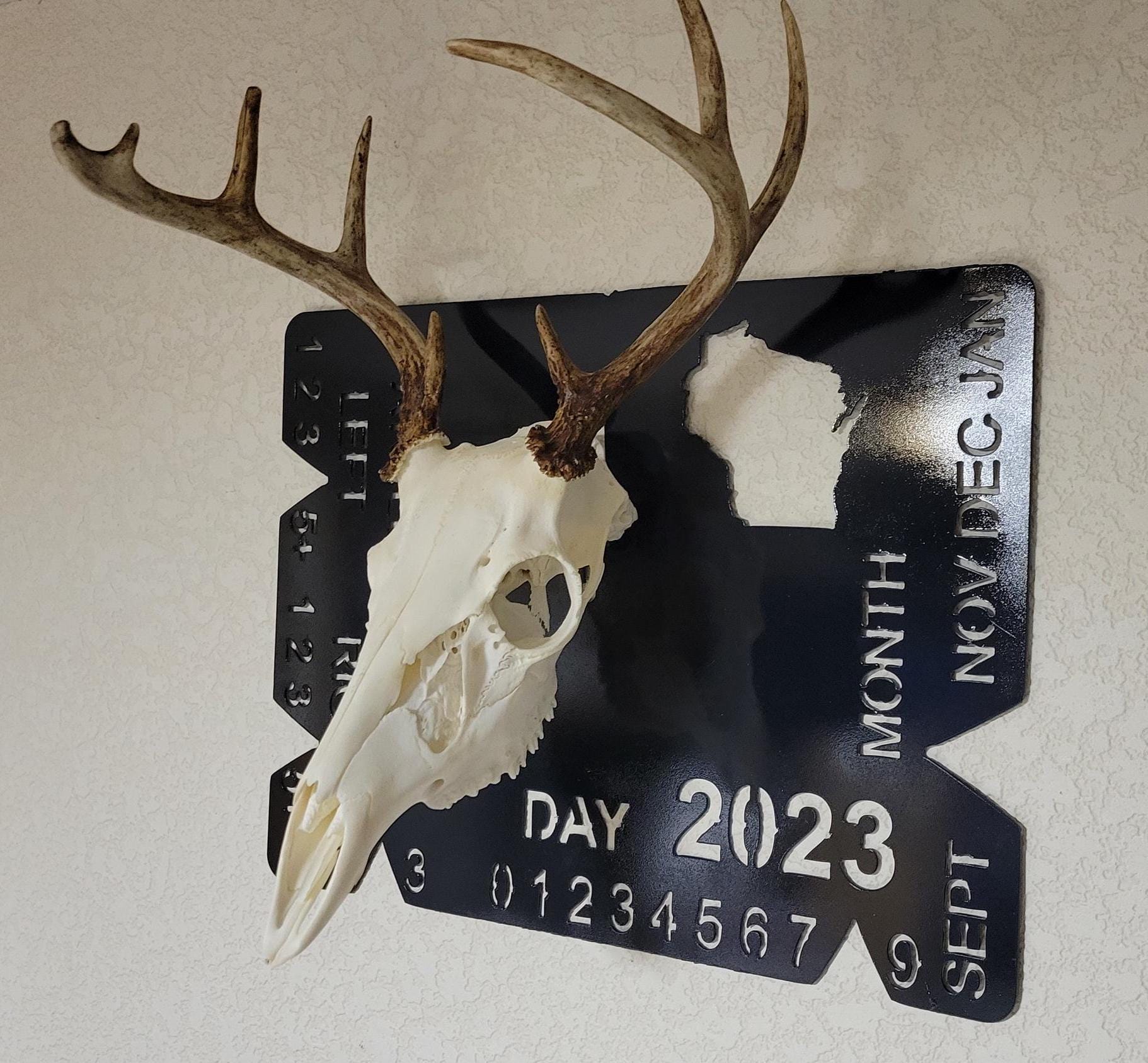 Whitetail Mule European Mount - Game Tag Style - Sheet Metal ...