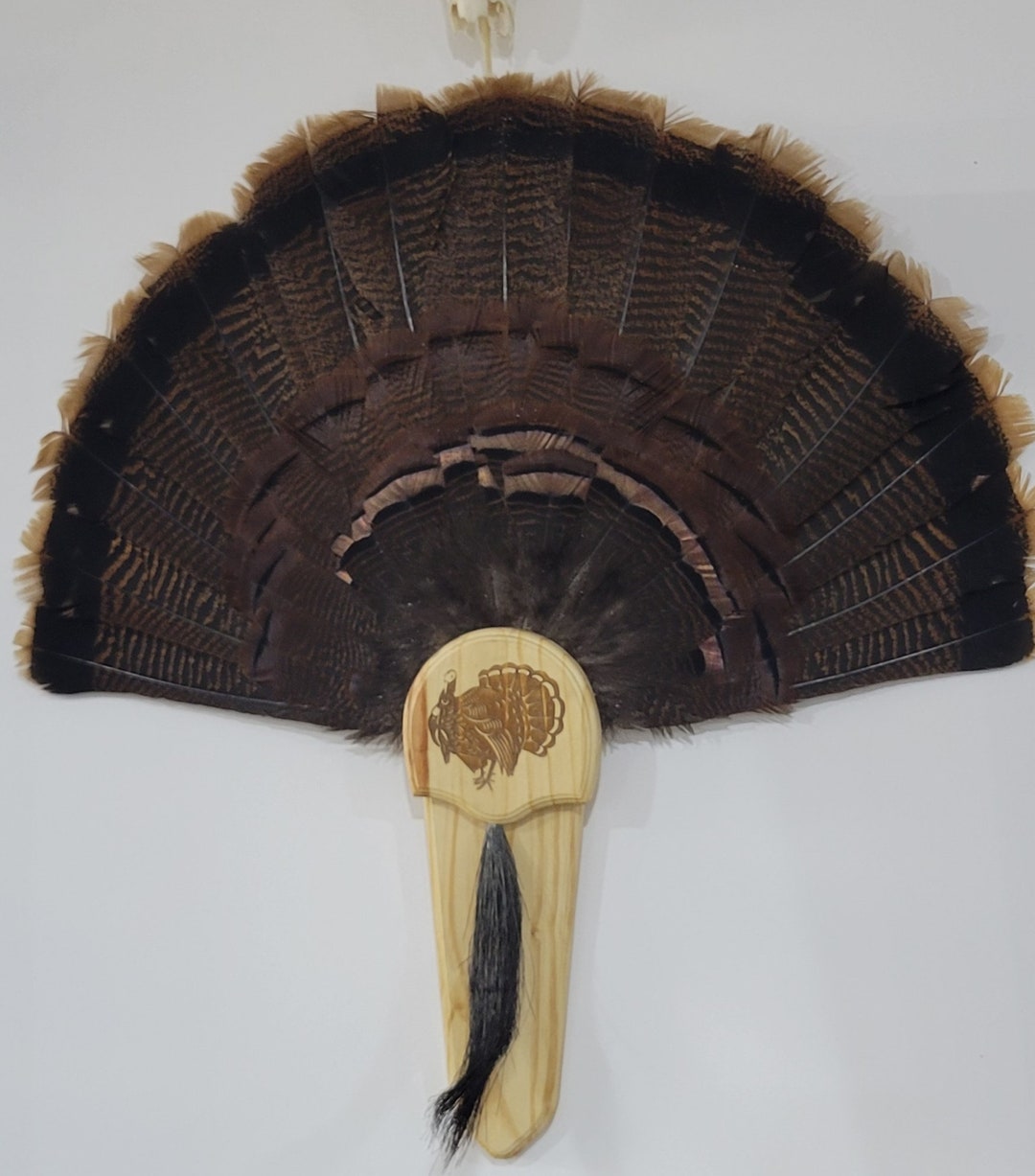Wild Turkey Fan & Beard Mount - Etsy