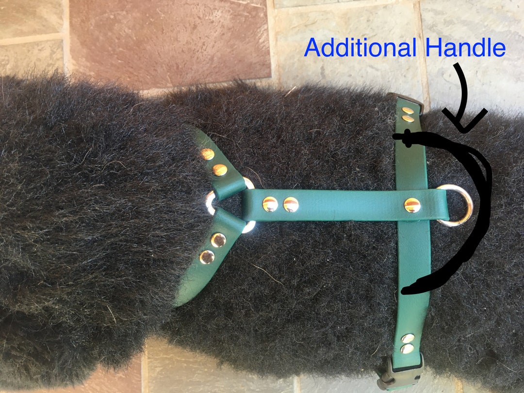 Biothane Dog Harness - Etsy