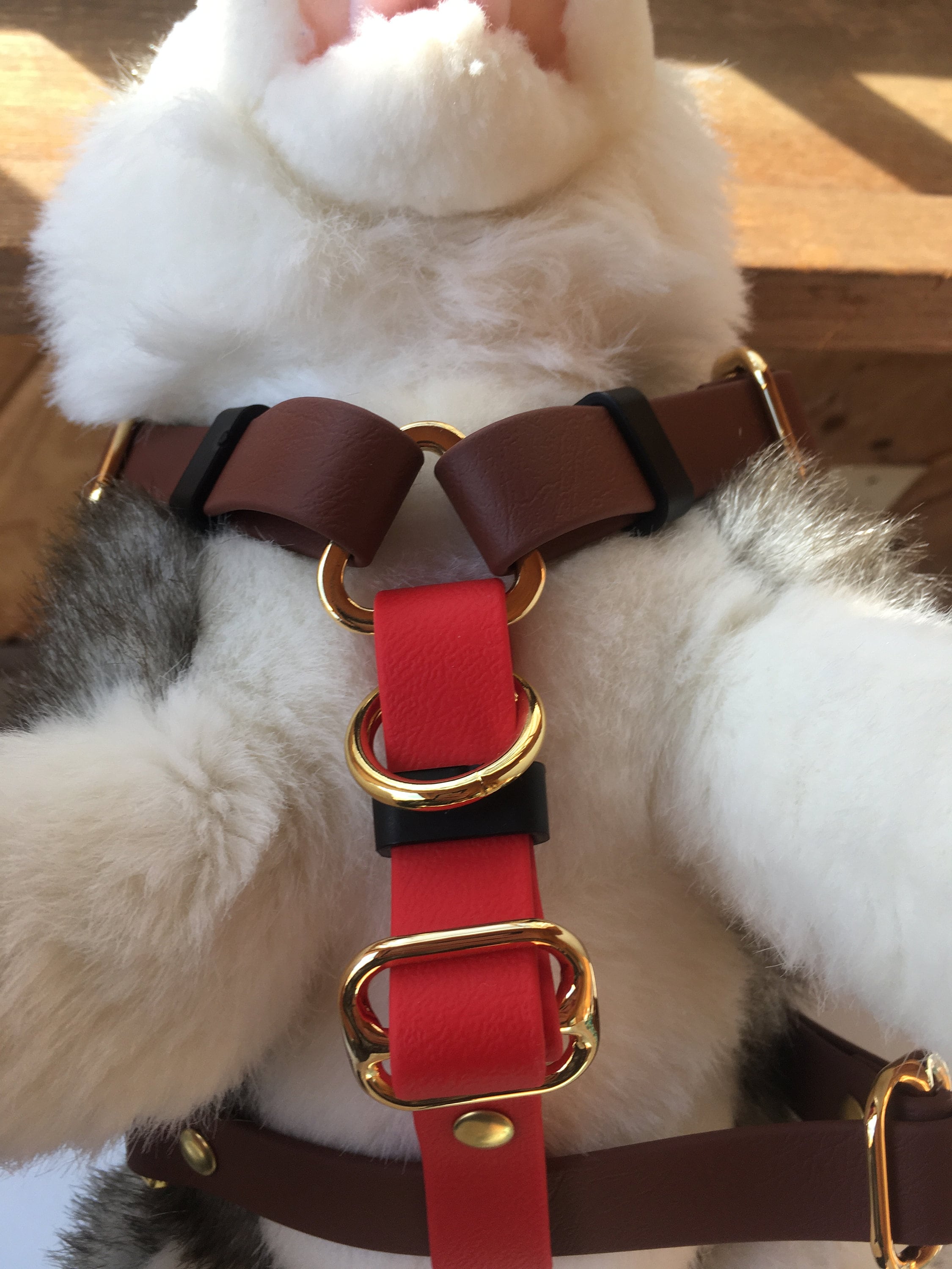 Handled Biothane Harness - Etsy