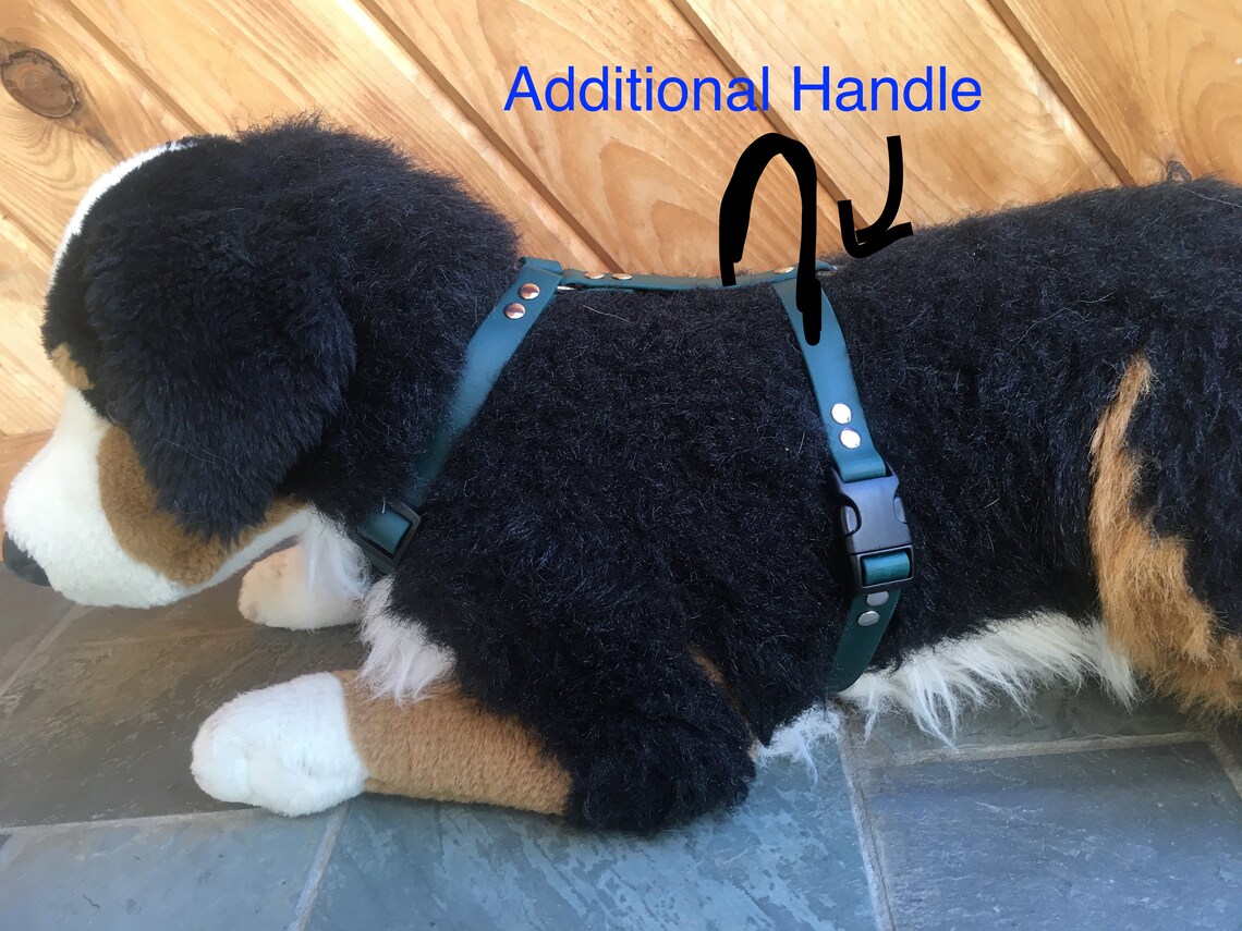 Biothane Dog Harness - Etsy