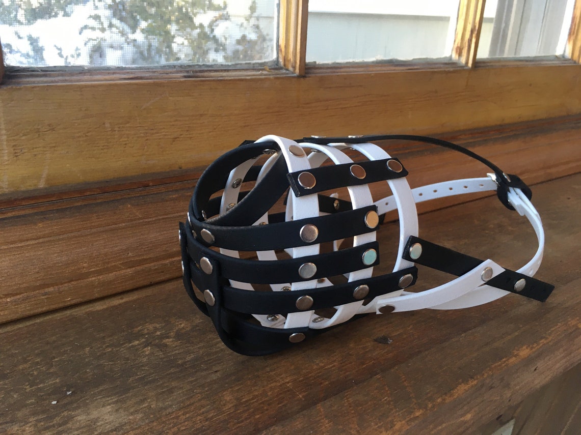 Biothane Dog Muzzle - Etsy