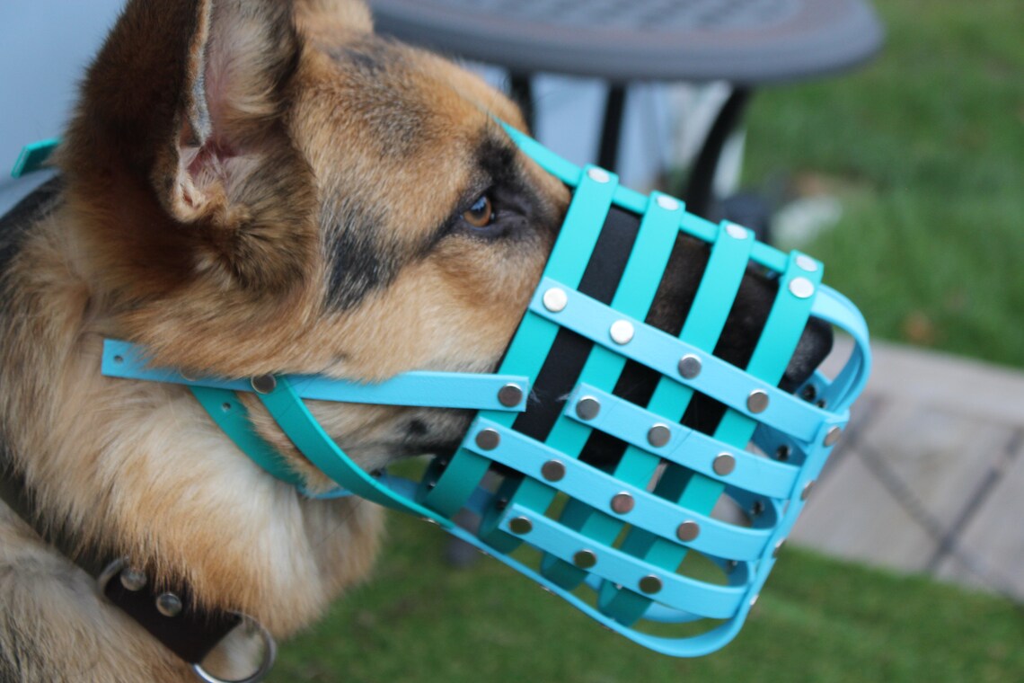 Biothane Dog Muzzle - Etsy