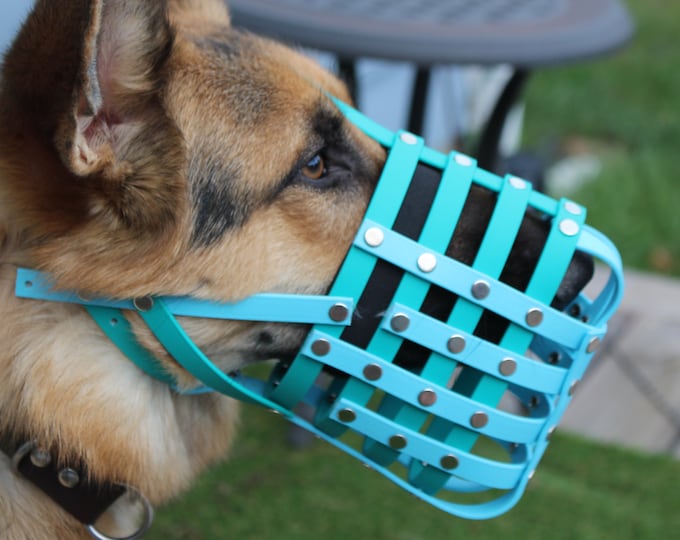 Biothane Dog Muzzle - Etsy