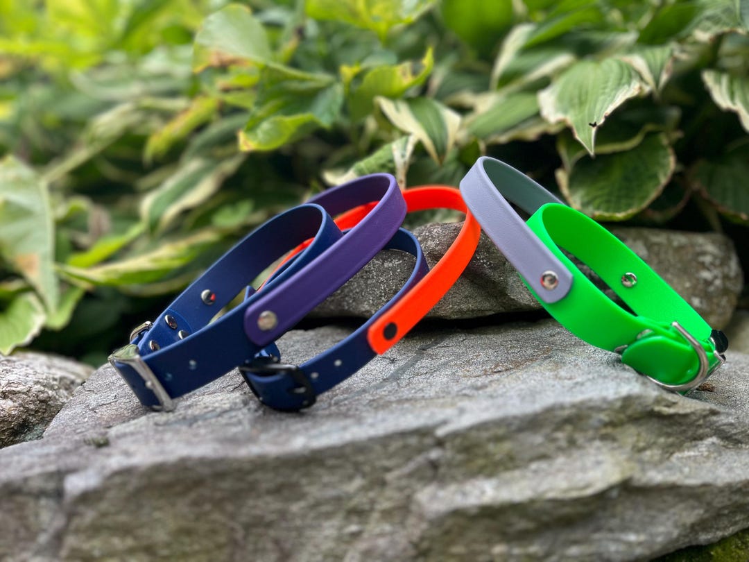 Biothane Dog Collar With Handle - Etsy