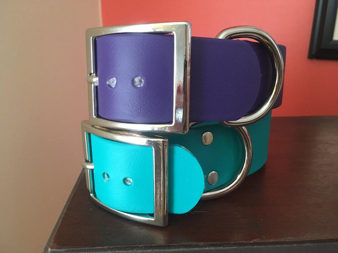 Biothane Buckle Collar - Etsy