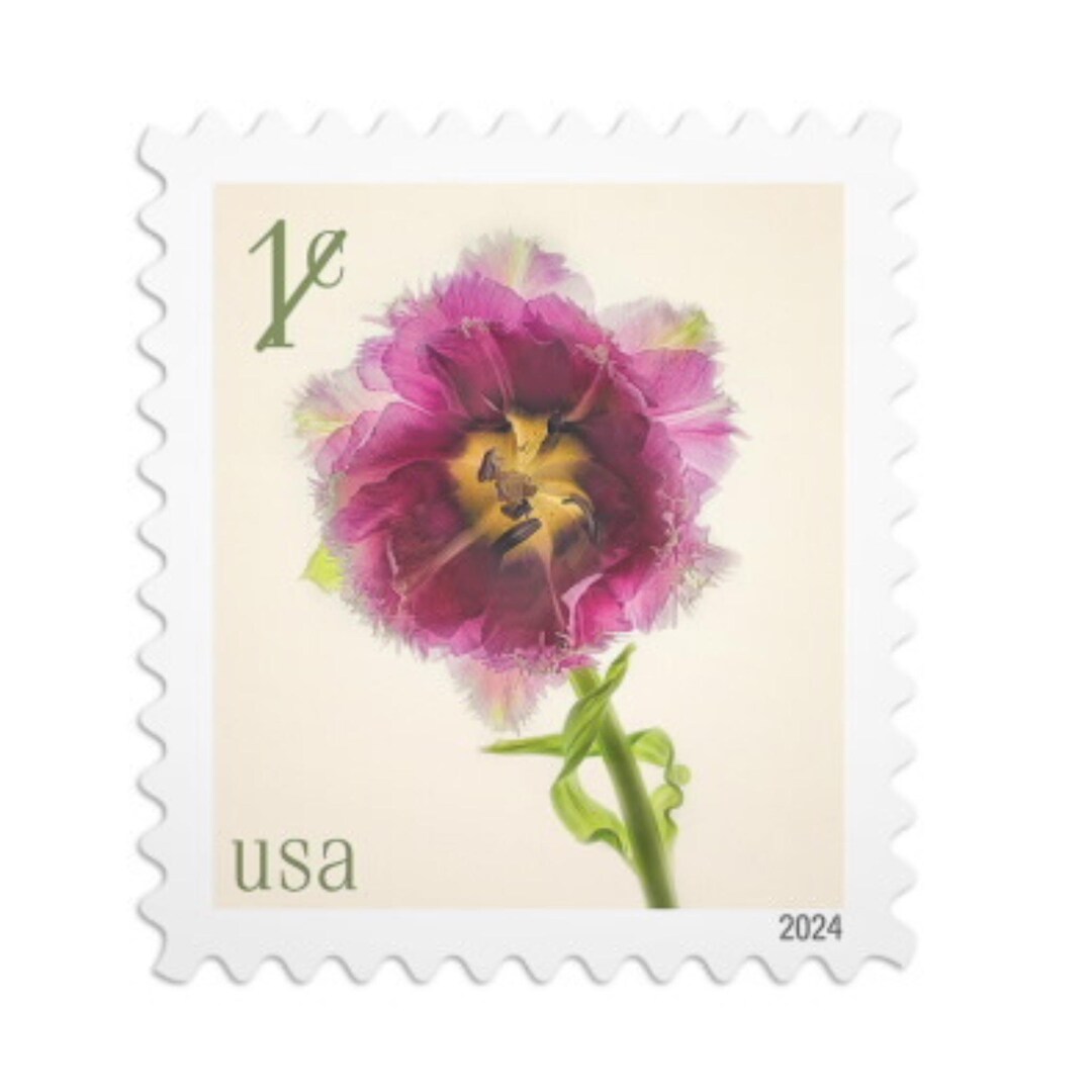 20-100 Tulip Stamps UNUSED U.S. Postage for Mailing Flower Floral ...
