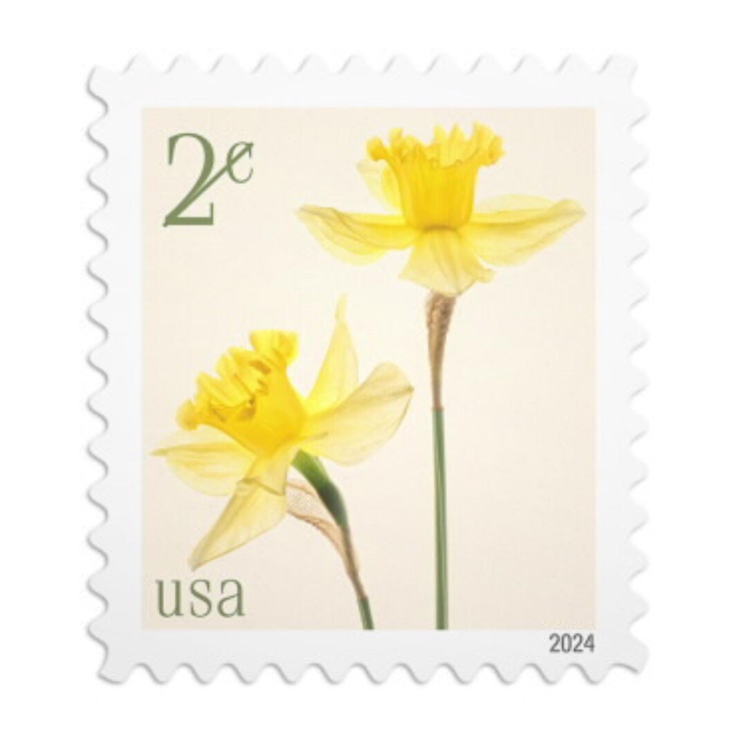 20-60 Daffodils Stamps UNUSED U.S. Postage Flower Floral Stamps USPS ...