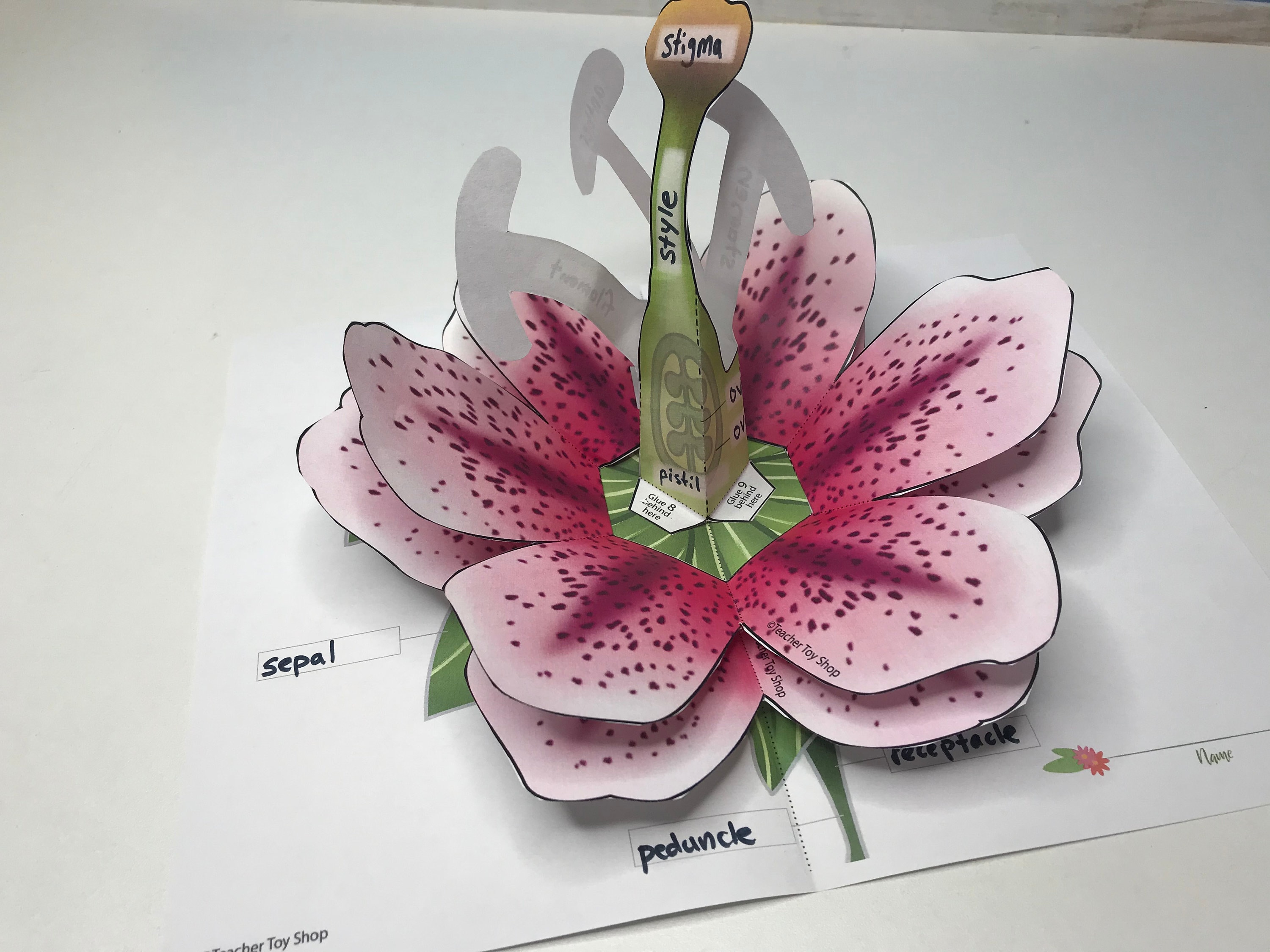 Pop-up Flower Printable Flower Card - Etsy