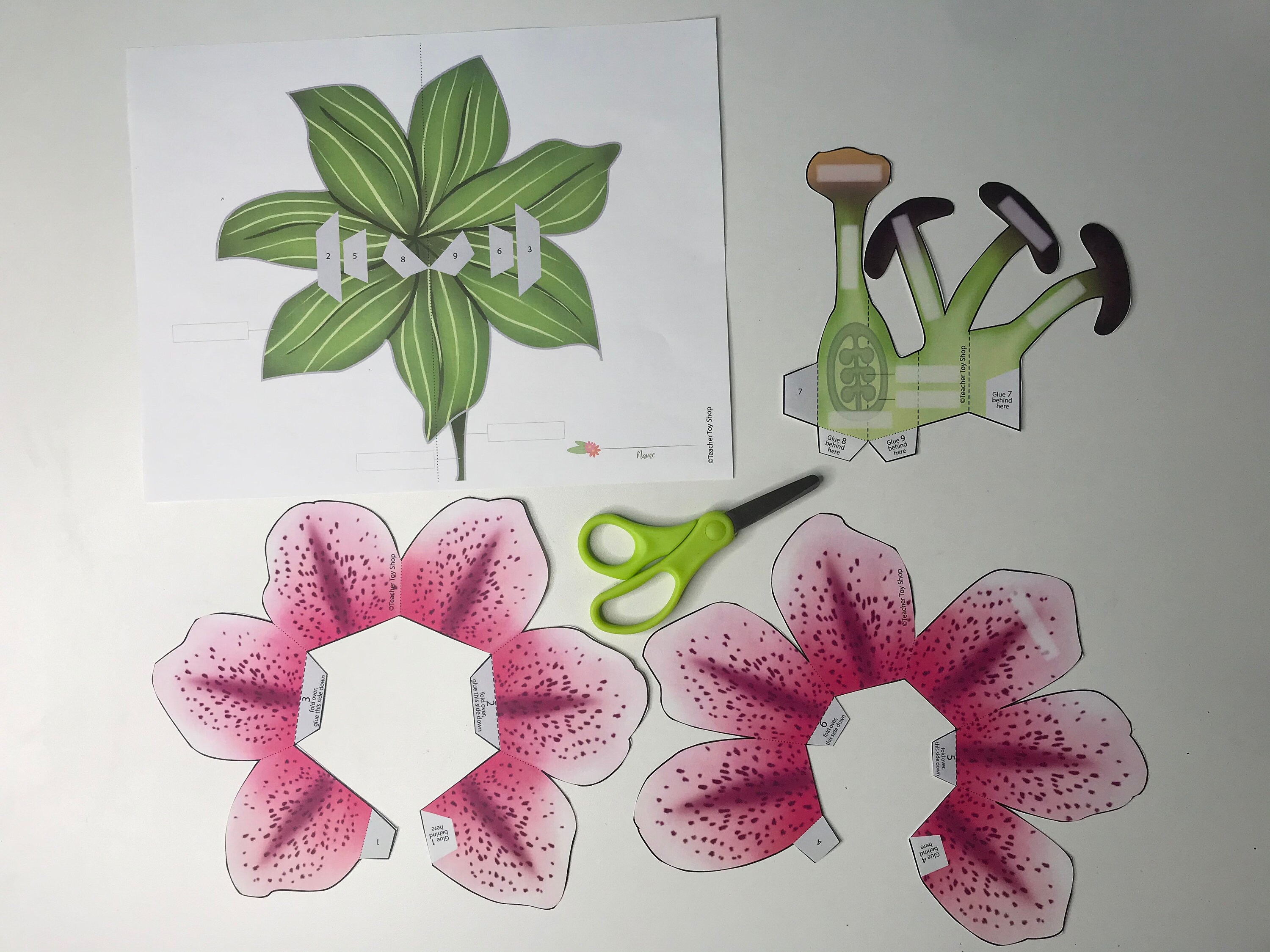 Pop-up Flower Printable Flower Card - Etsy