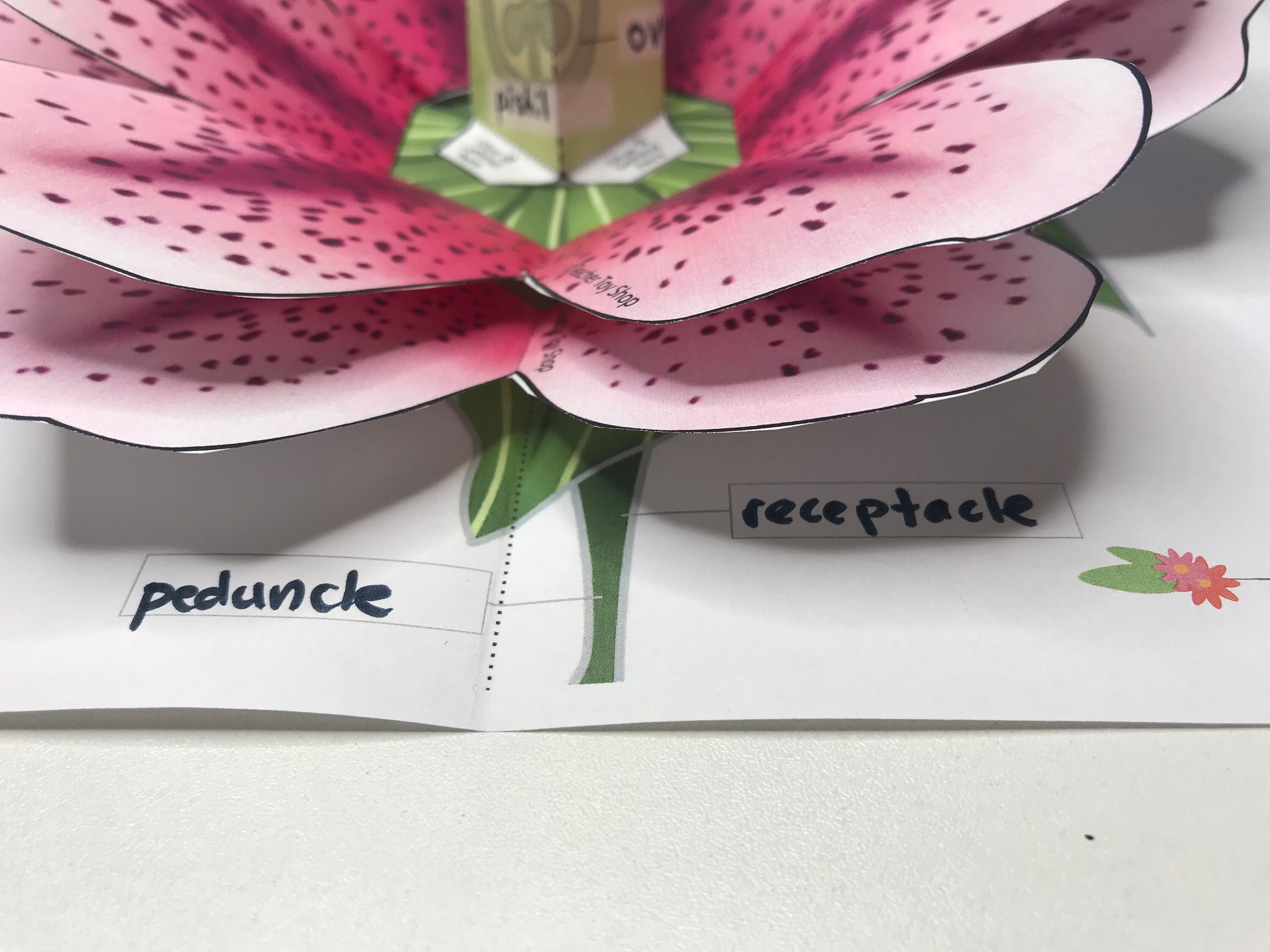 Pop-up Flower Printable Flower Card - Etsy