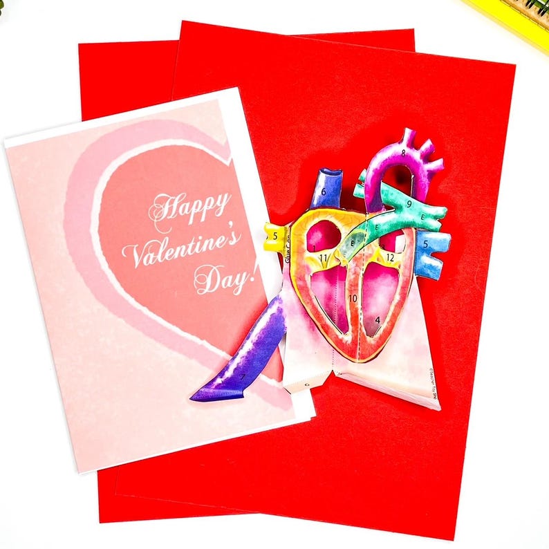 Human Heart STEAM Paper Model: Circulatory System Pop up Card (digital ...