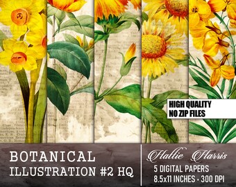 2 8.5x11 Frame - Etsy