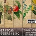 Botanical Letters #1 - Frameable Floral Paper High-res Printable ...
