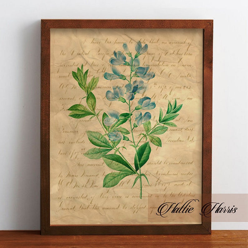 Botanical Letters 1 Frameable Floral Paper High-res Printable Digital ...