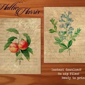 Botanical Letters #1 - Frameable Floral Paper High-res Printable ...