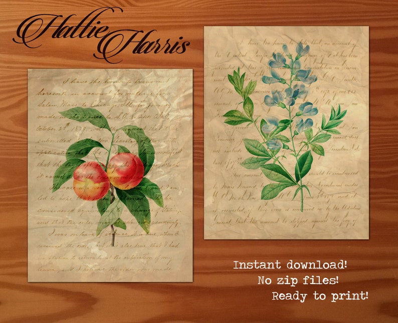 Botanical Letters 1 Frameable Floral Paper High-res Printable Digital ...