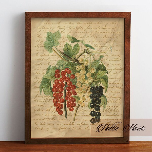 Botanical Letters 1 Frameable Floral Paper High-res Printable Digital ...