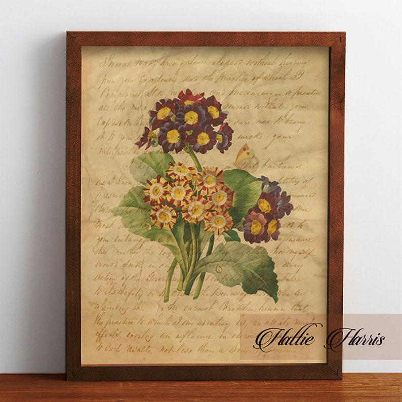 Botanical Letters 1 Frameable Floral Paper High-res Printable Digital ...