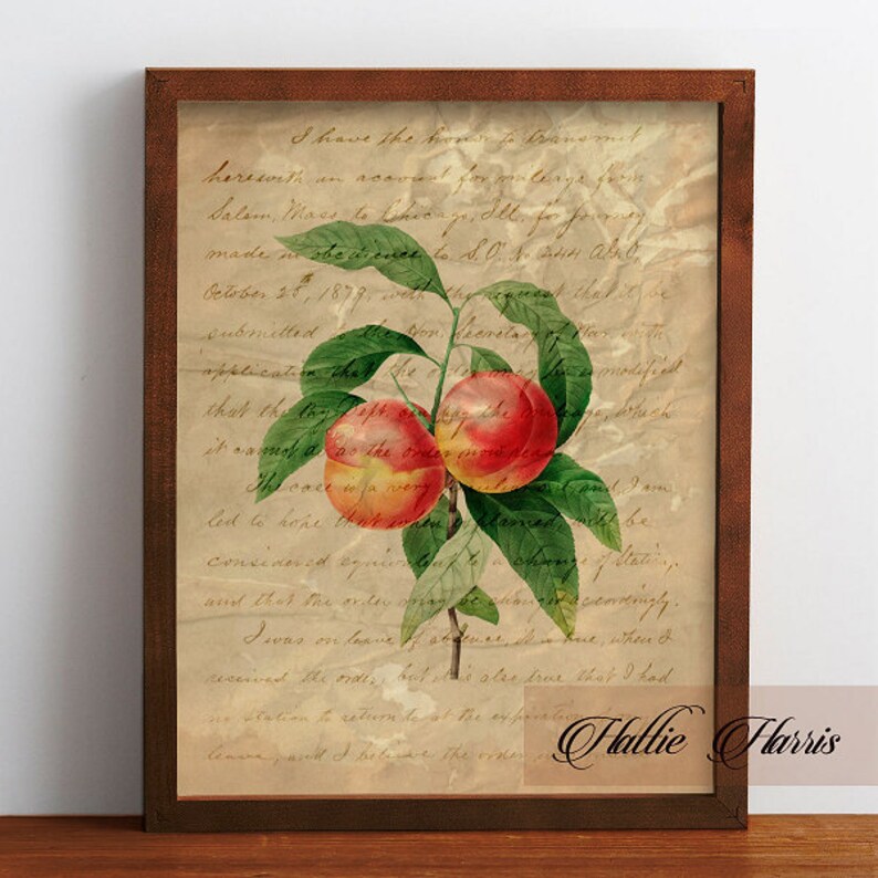 Botanical Letters 1 Frameable Floral Paper High-res Printable Digital ...