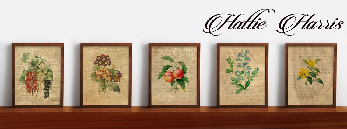 Botanical Letters 1 Frameable Floral Paper High-res Printable Digital ...
