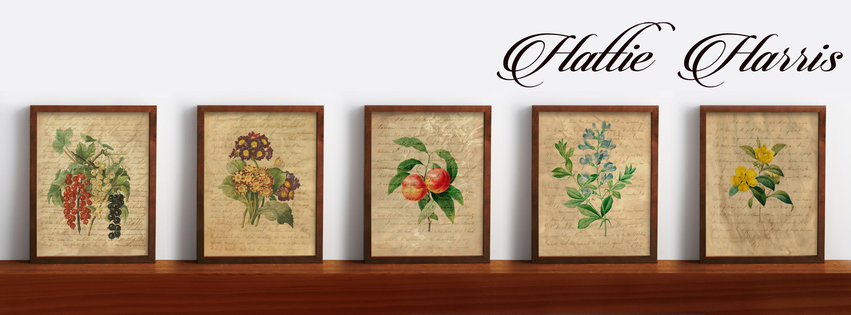 Botanical Letters 1 Frameable Floral Paper High-res Printable Digital ...