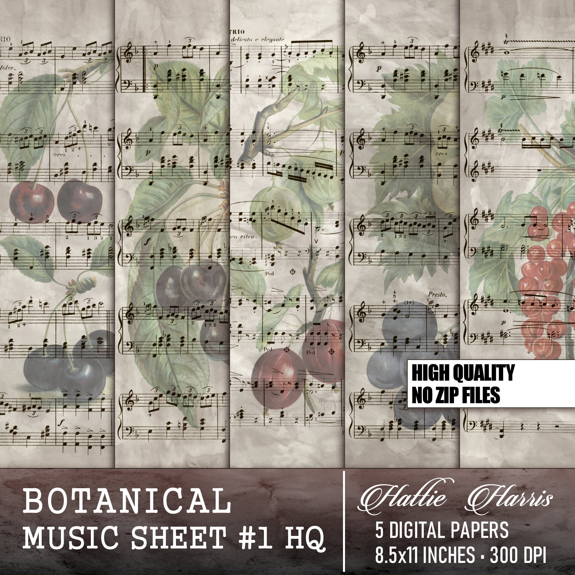 Botanical Music Sheet 1 Frameable Floral Paper High-res - Etsy