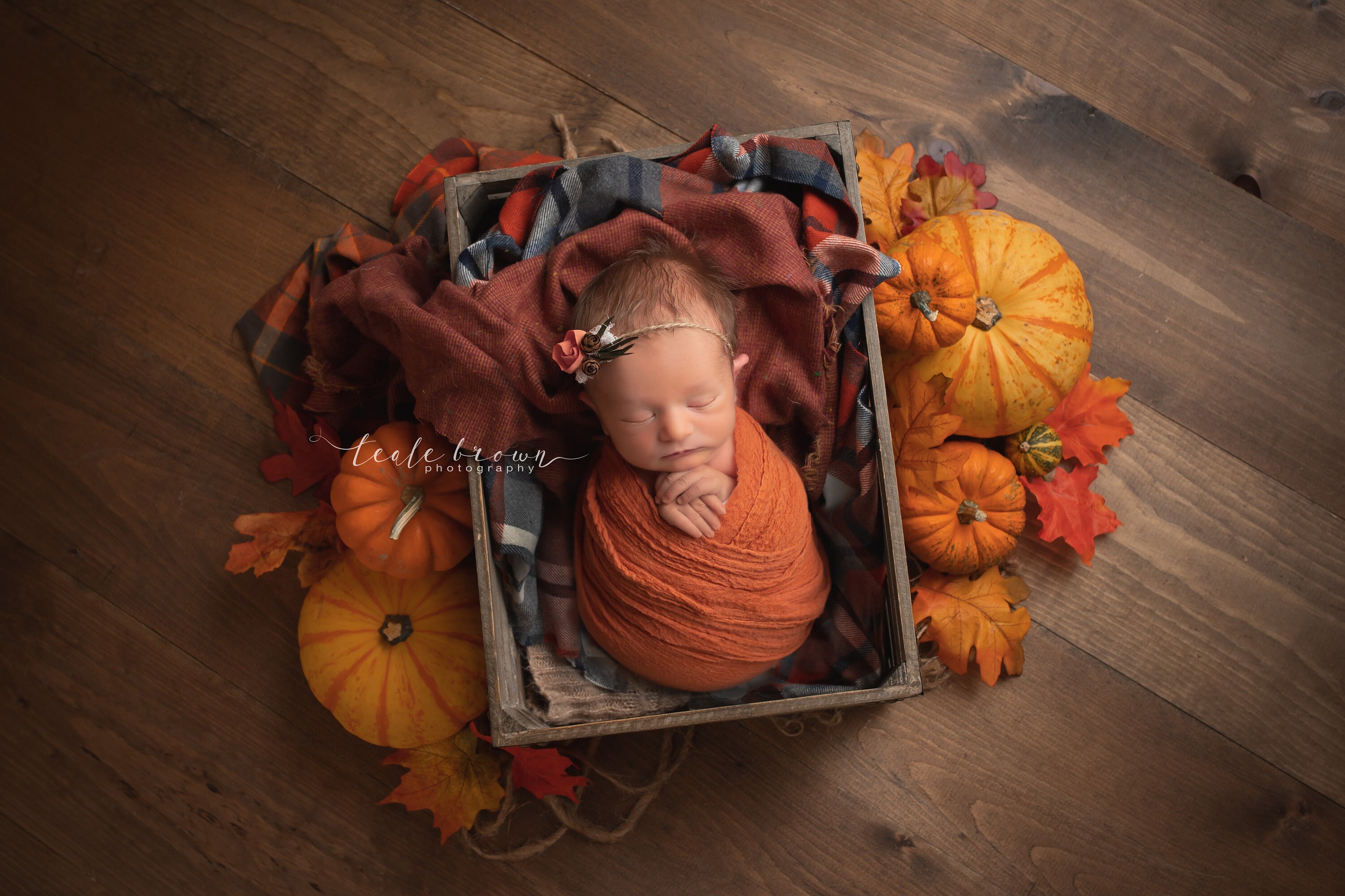 Newborn Digital Backdrop, Newborn Digital Background, Rustic Autumn ...