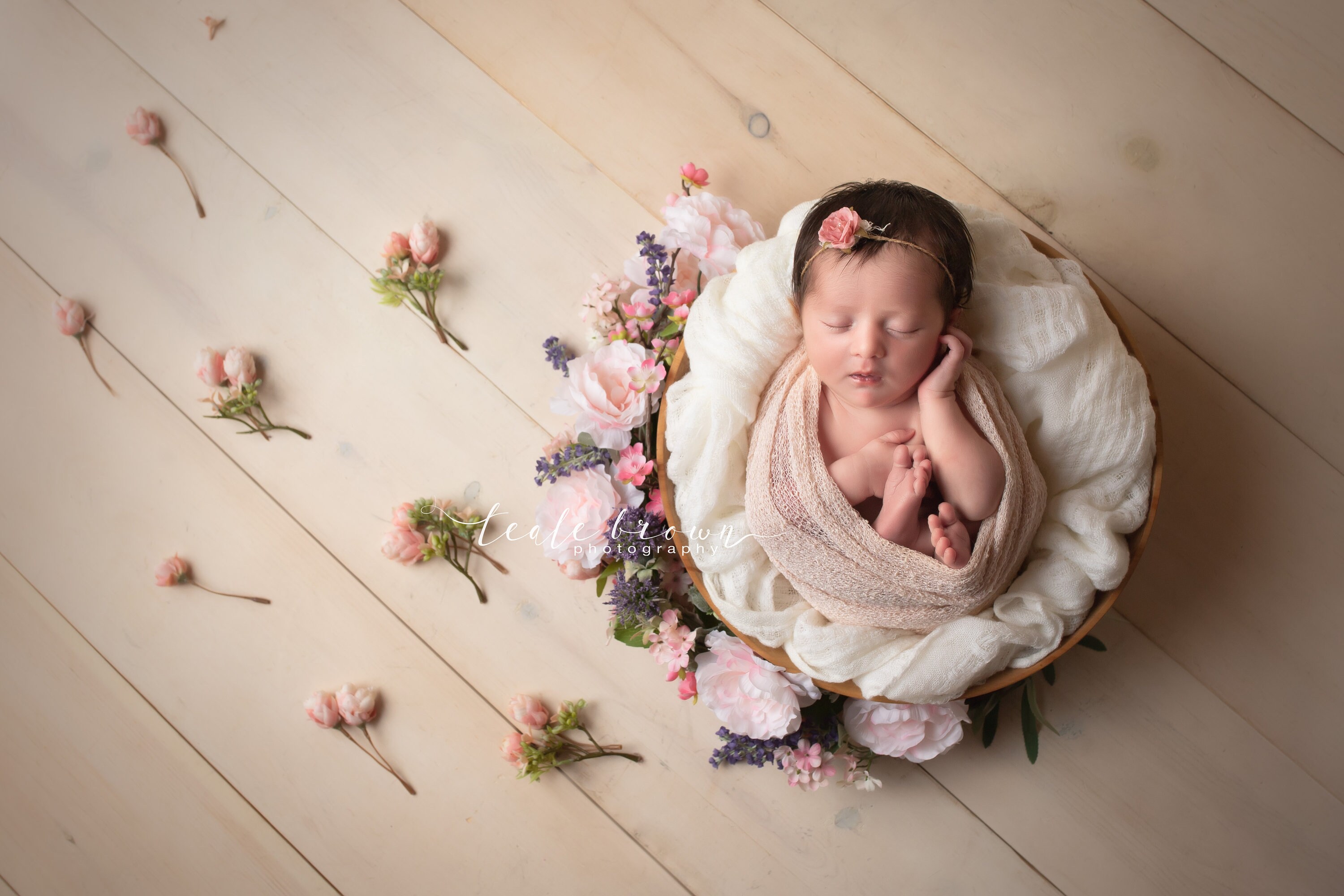 Newborn Digital Backdrop Newborn Digital Background Pink and - Etsy