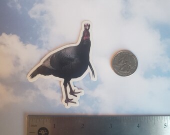 Wild Turkey Label - Etsy