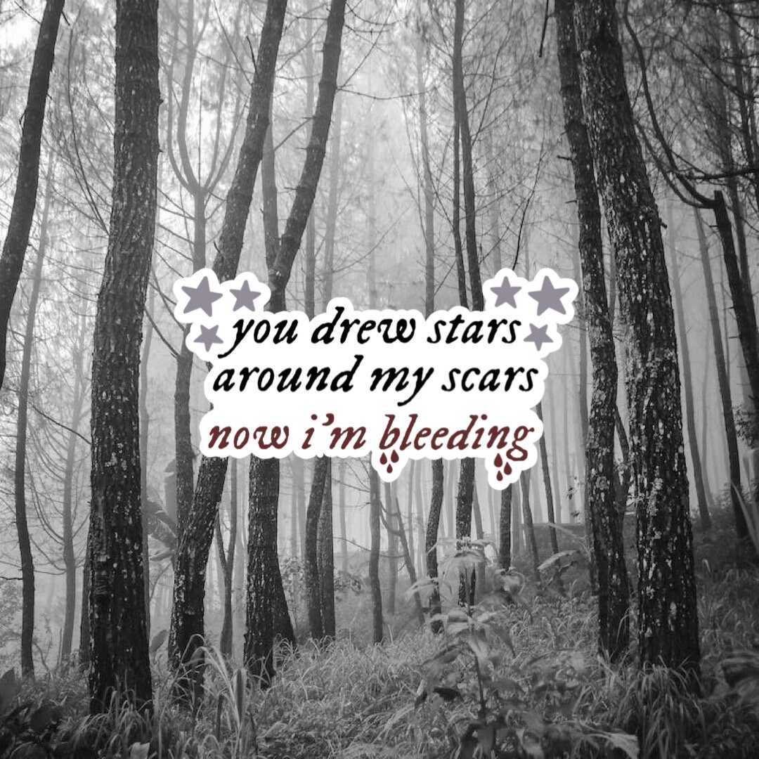 You Drew Stars Around My Scars Sticker Cardigan Inspired - Etsy Canada