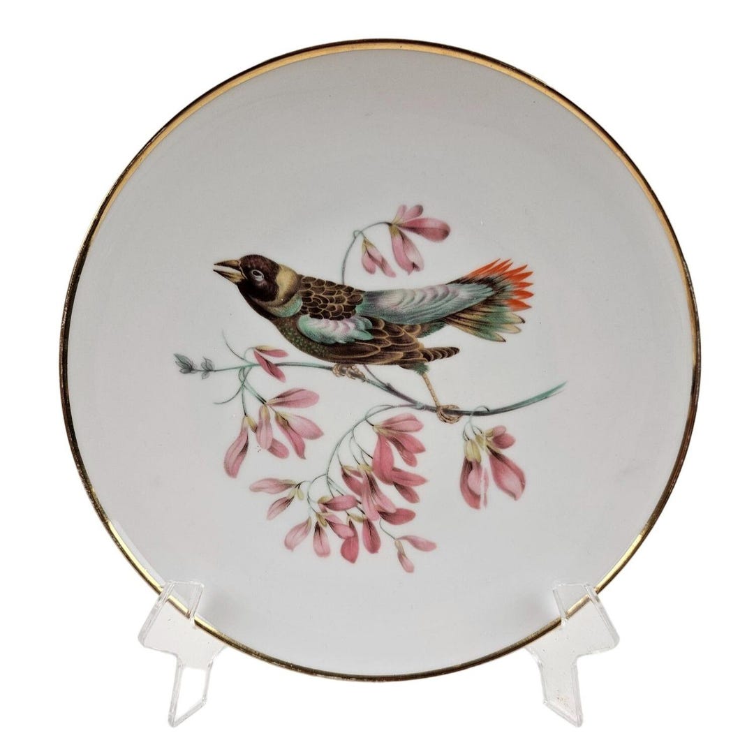 Vintage Bavaria DEBRA Germany Bird Floral Decorative Plate 7.5in ...