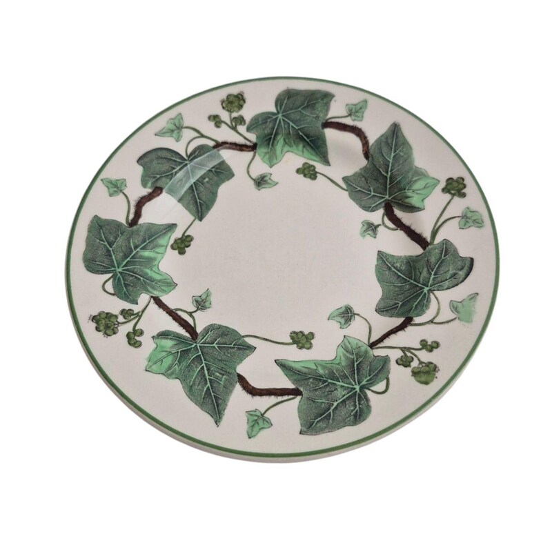 Antique Ivy Dinnerware - Etsy