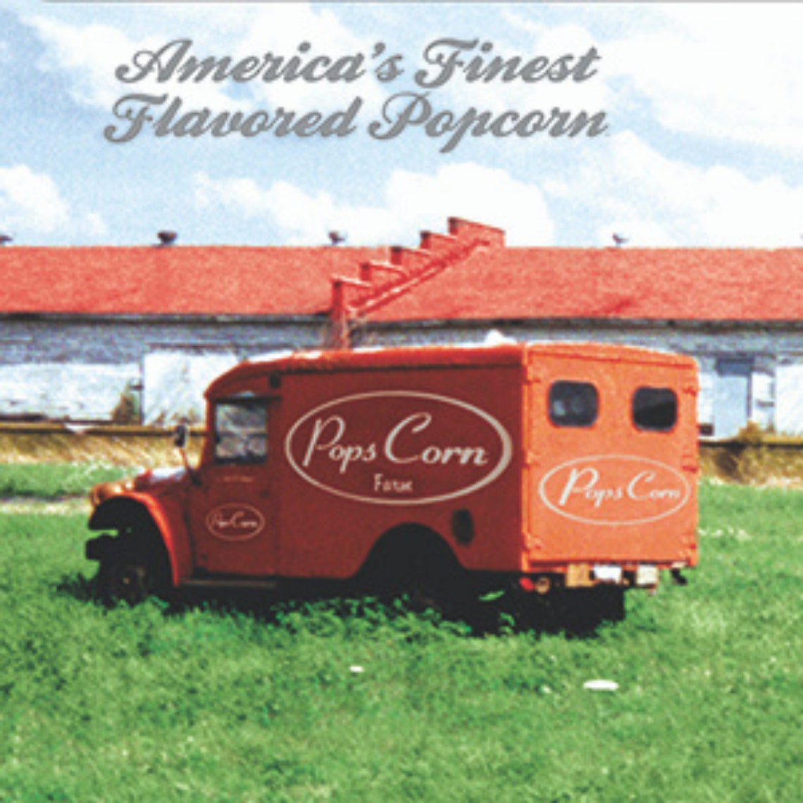 Gourmet Popcorn-it's a Girl-bulk Wholesale Pink Popcorn-5 | Etsy