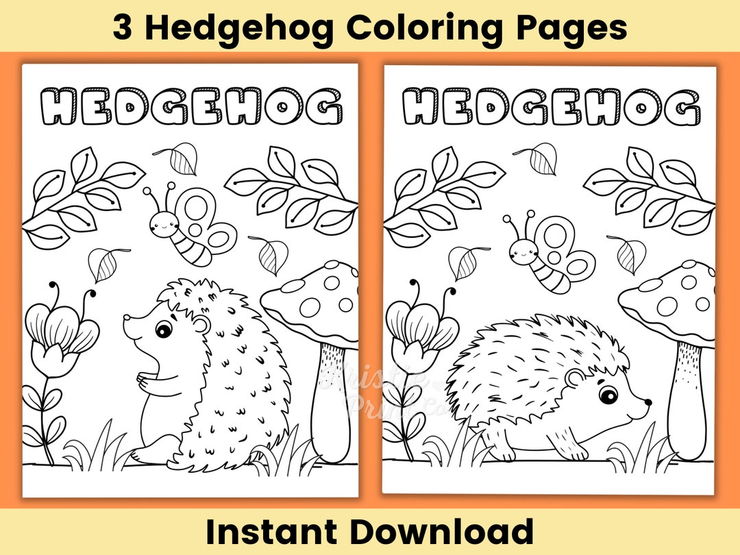Hedgehog Coloring Page, Woodland Coloring Pages for Kids, Hedgehog ...
