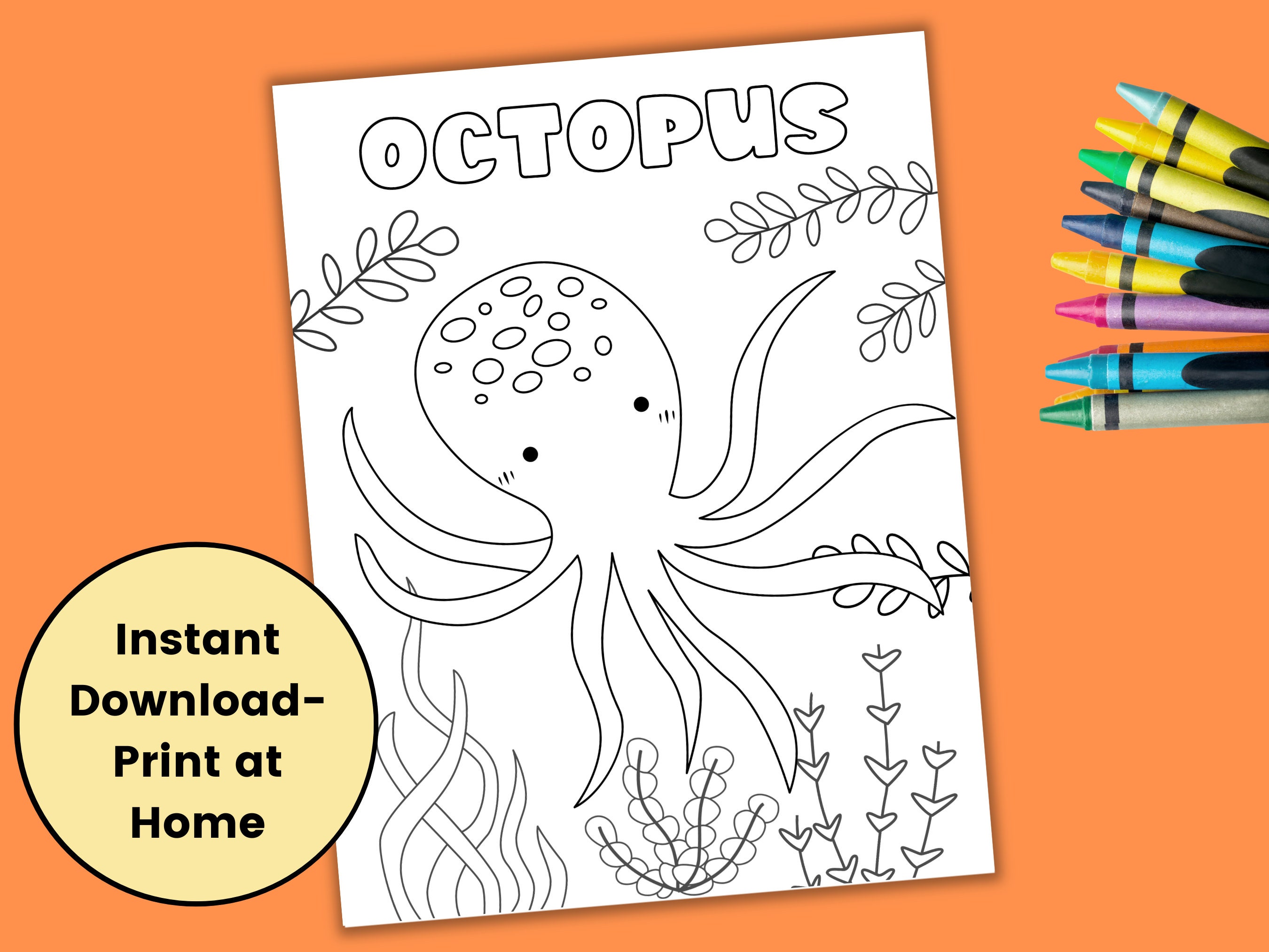 Octopus Coloring Pages For Kids
