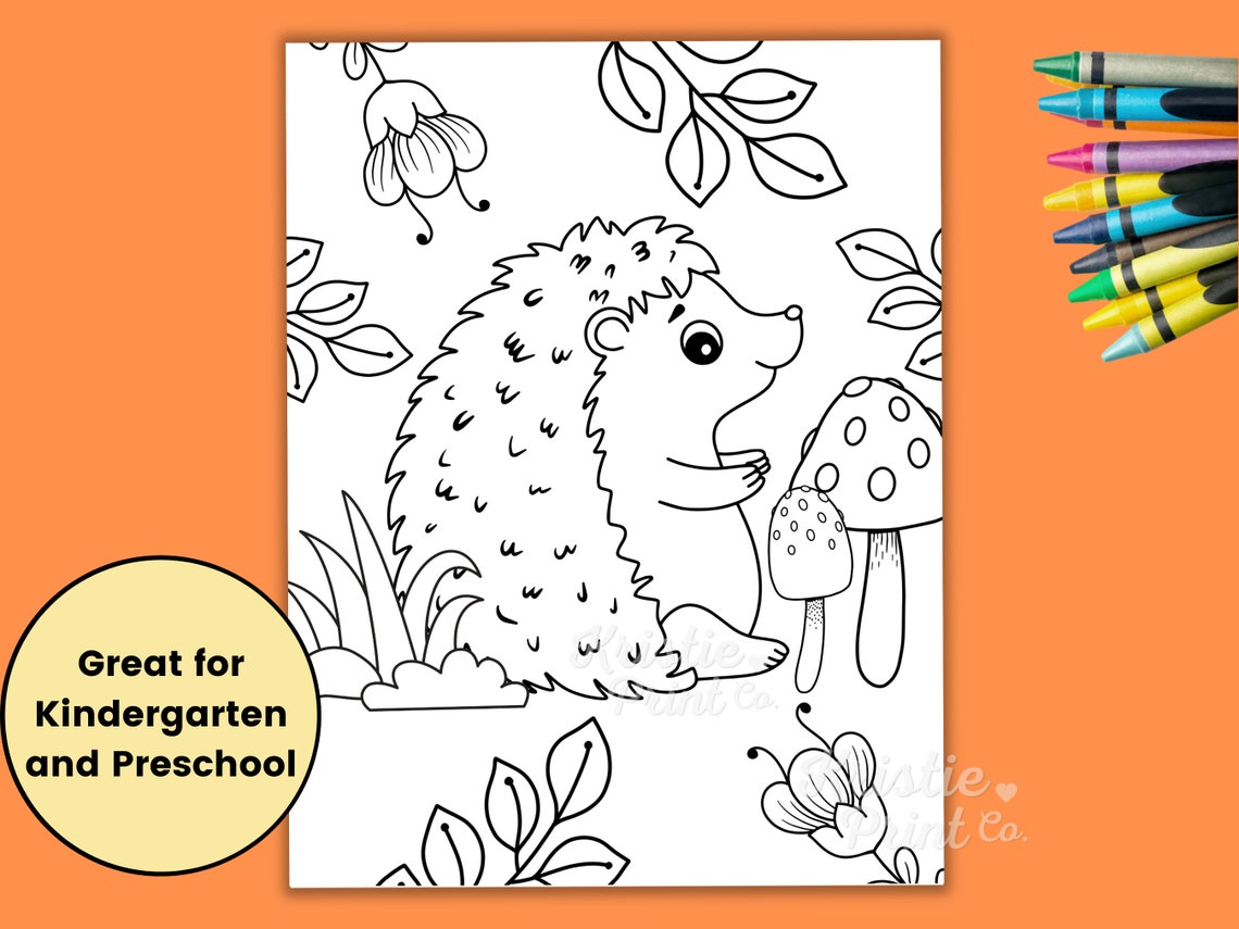 Hedgehog Coloring Page, Woodland Coloring Pages for Kids, Hedgehog ...