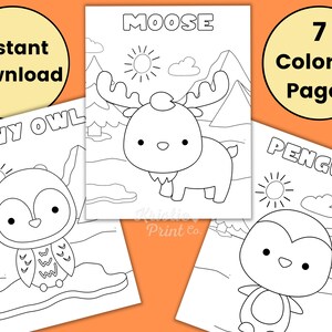 Arctic Animals Coloring Pages for Kids, Arctic Animals Activities ...