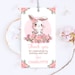 Bunny Birthday Favor Tags Some Bunny is One Decorations Rabbit Birthday ...