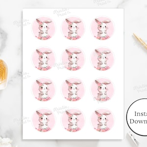 Bunny Cupcake Toppers Bunny Birthday Bunny Easter Decor Bunny Party ...