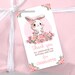 Bunny Birthday Favor Tags Some Bunny is One Decorations Rabbit Birthday ...